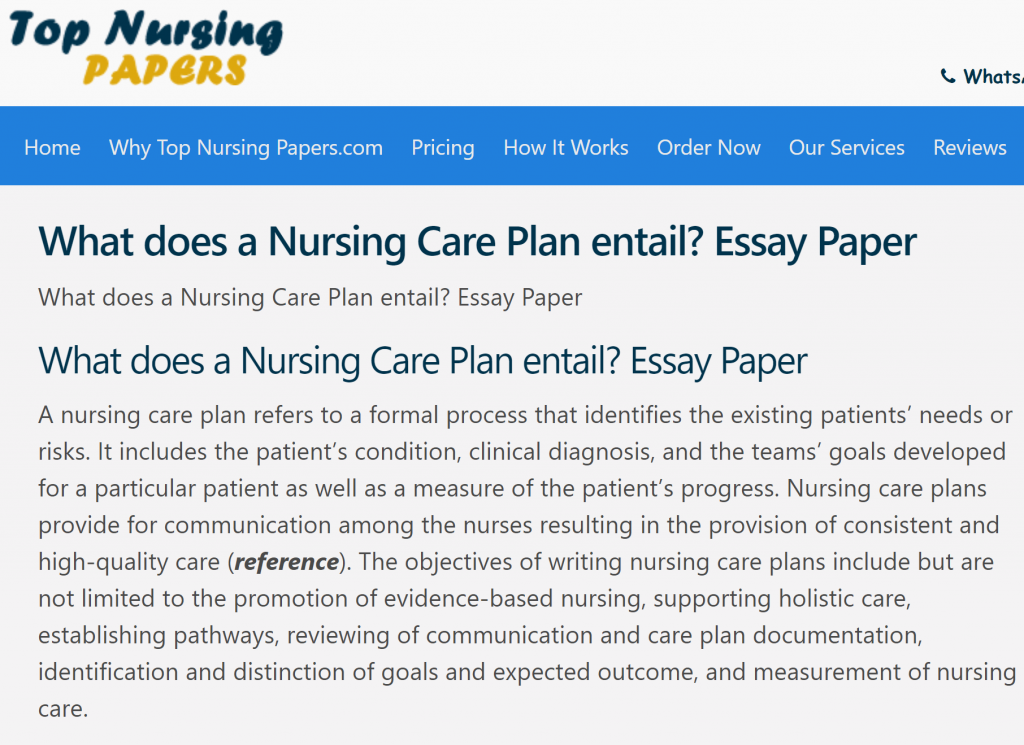 What does a Nursing Care Plan entail? Essay Paper - Top Nursing Papers